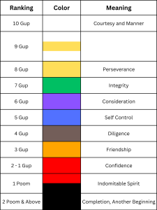 The Real Taekwondo Belt Levels And Orders – Taekwondo Together